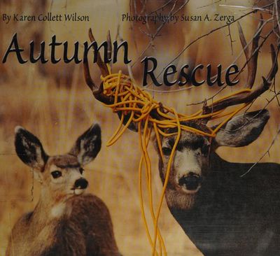 Autumn Rescue by Karen Collett Wilson (5 items) - Biblio