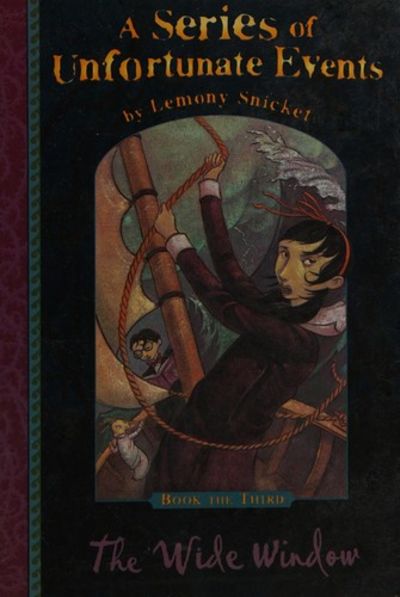 The Wide Window Book Cover
