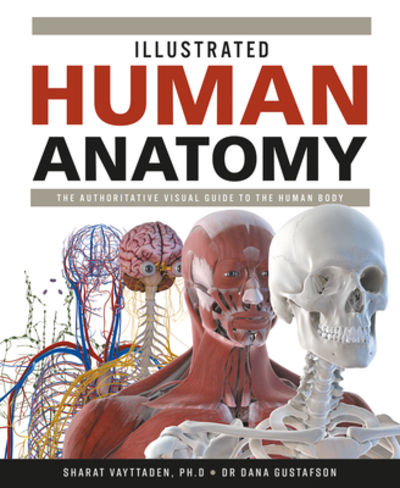 Illustrated Human Anatomy: The Authoritative Visual Guide to the Human ...