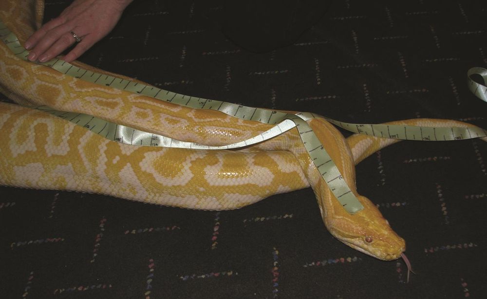 BIBLIO | Awesome Snake Science!: 40 Activities for Learning About ...