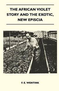 The African Violet Story And The Exotic, New Episcia by F. E. Wentink ...