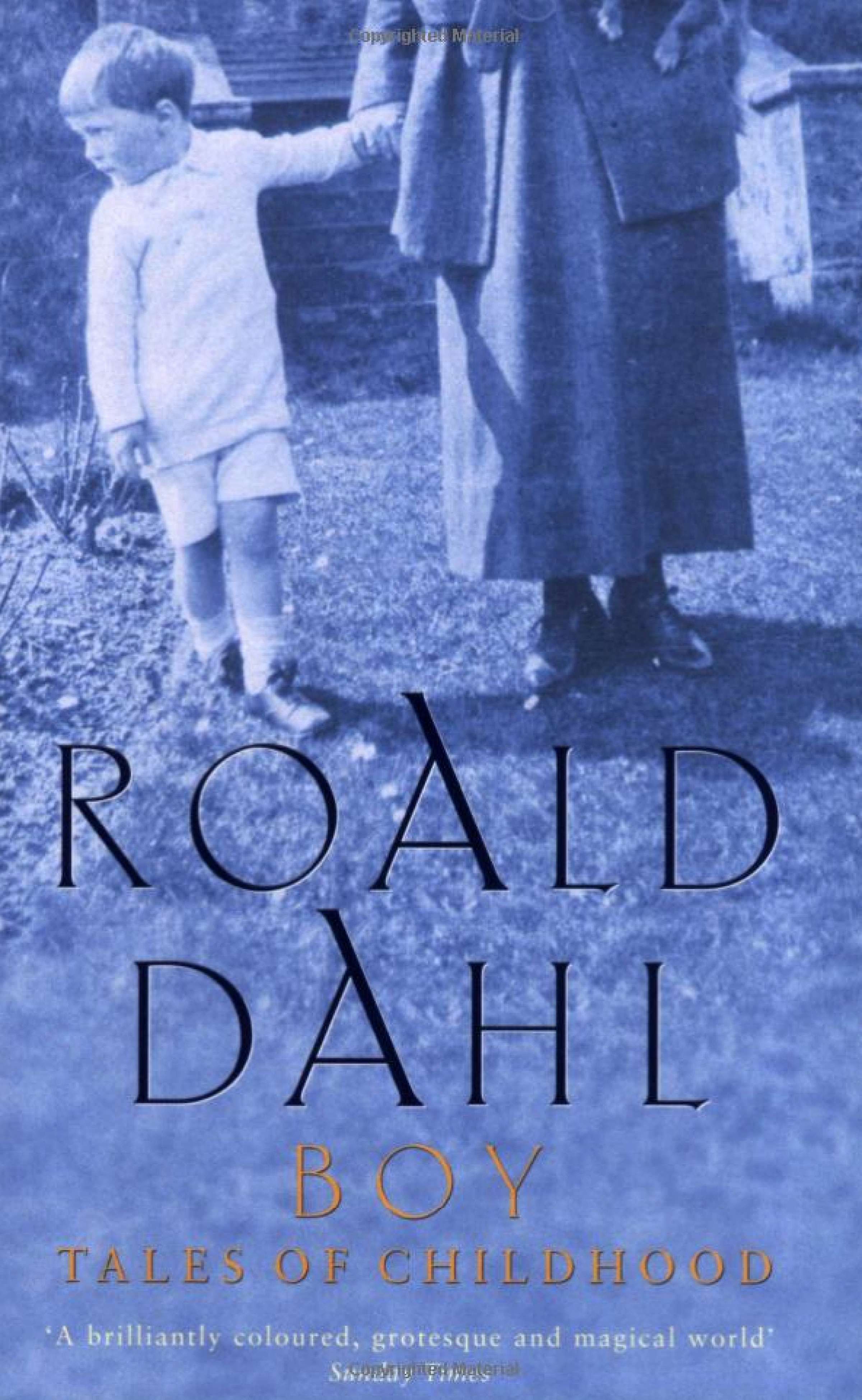 Roald Dahl Book Covers Childhood “The BFG” By Roald Dahl Is A