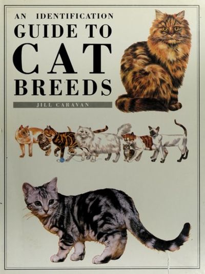 Identifying Cat Breeds