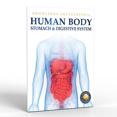Human Body - Stomach And Digestive System: Knowledge Encyclopedia For ...