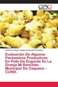 Evaluación De Algunos Parámetros Productivos En Pollo De Engorde En La ...