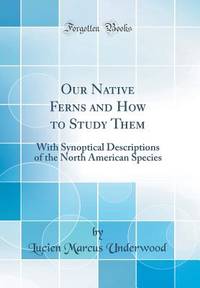 Our Native Ferns and How to Study Them: With Synoptical Descriptions of ...