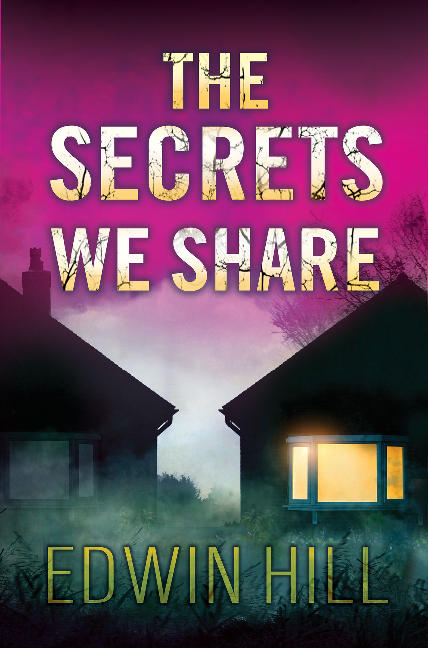 The Secrets We Share: A Gripping Novel of Suspense by Edwin Hill | Hardcover | March 2022 ...