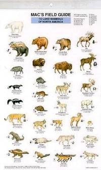 Mac's Field Guides: North American Land Mammals by Craig Macgowan ...