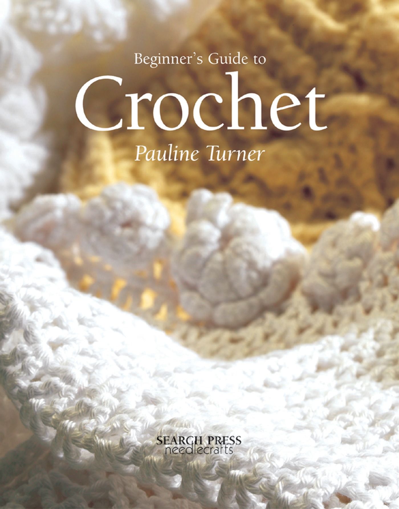 Beginner's Guide to Crochet (Beginner's Guide to Needlecrafts)