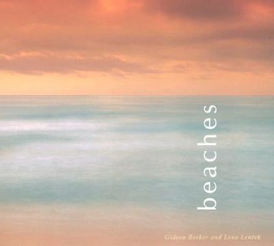 Beaches by Gideon Bosker/ Lena Lencek - Hardcover - 2000 - from ...
