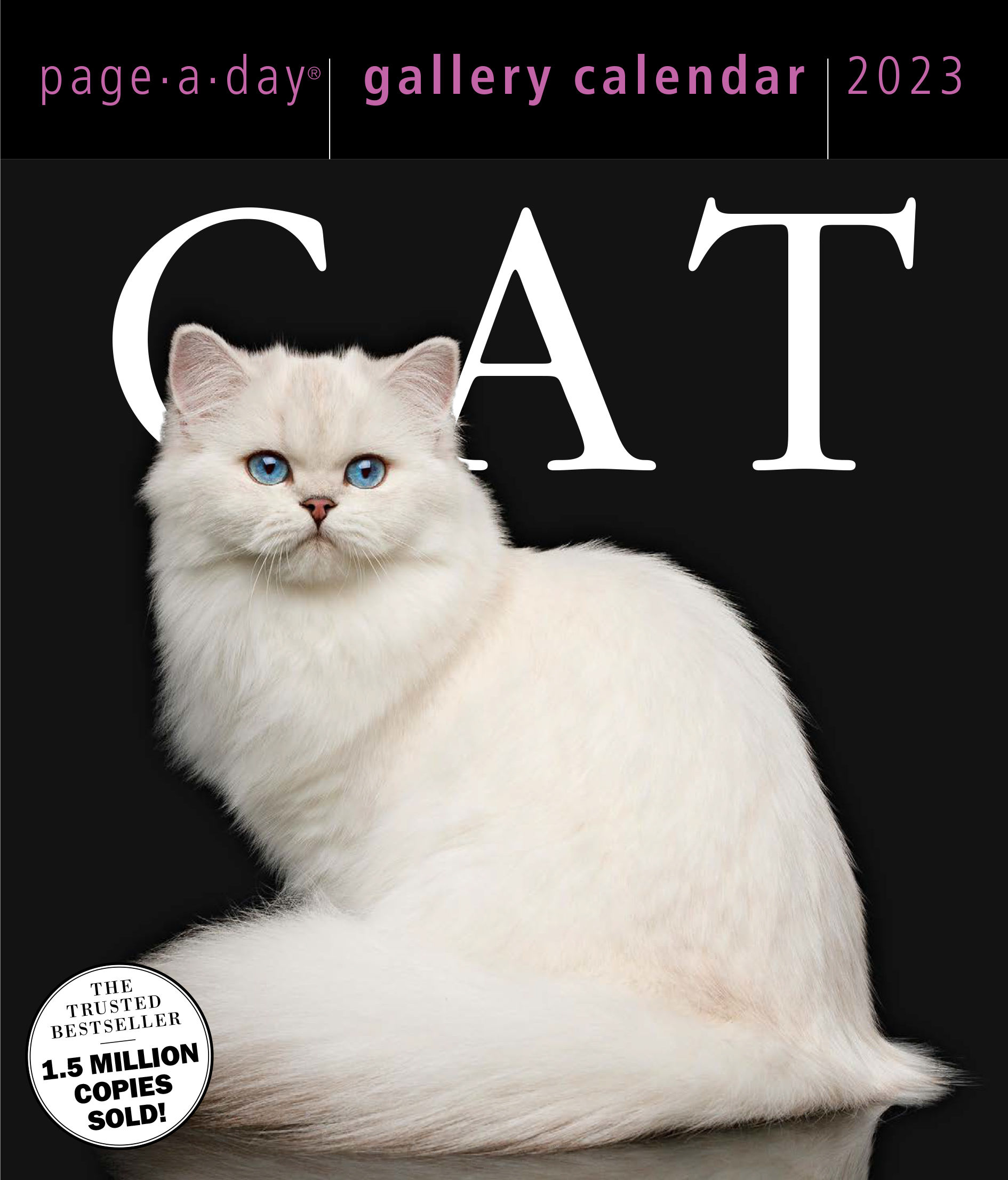 Cat Page-A-Day Gallery Calendar 2023: A Delightful Gallery of Cats for ...