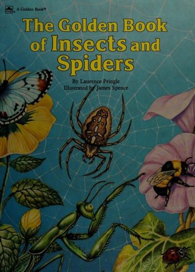 Insects And Spiders Book