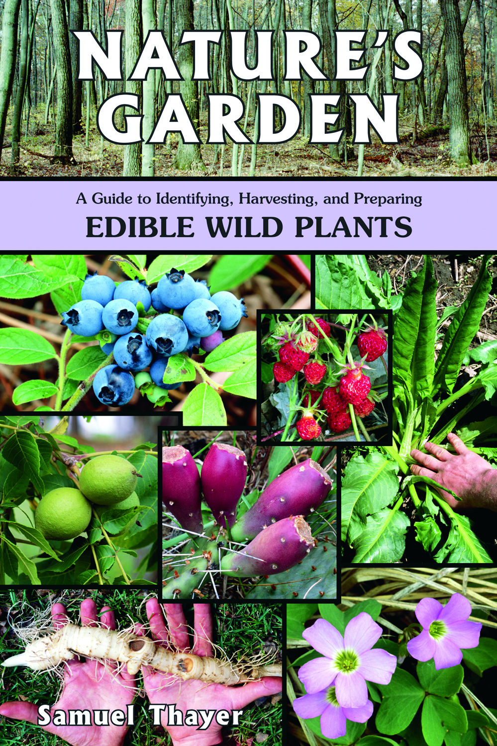 Nature's Garden: A Guide to Identifying, Harvesting, and Preparing ...