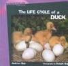 BIBLIO | The Life Cycle of a Duck (Life Cycles Library) by Hipp, Andrew ...