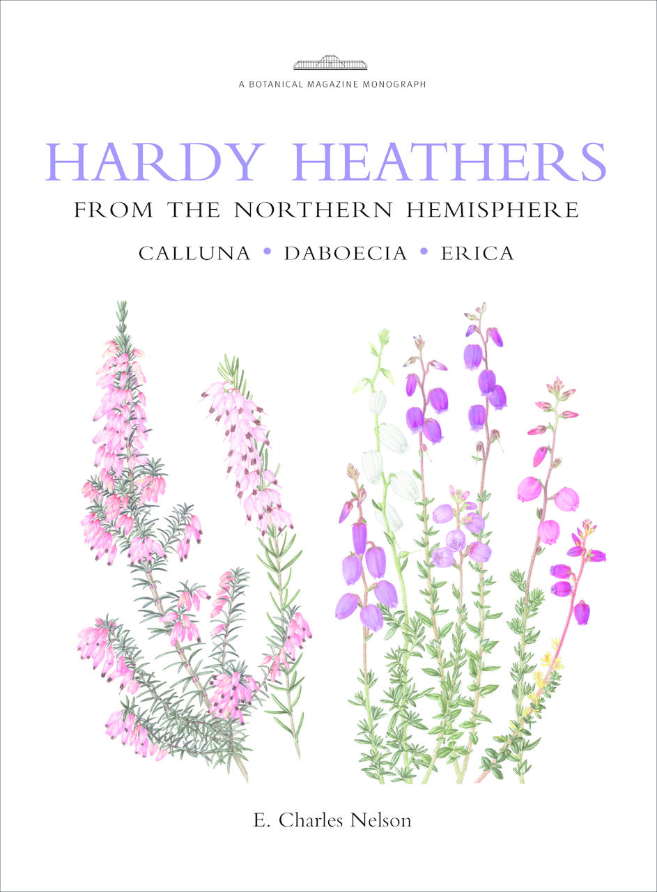 BIBLIO | Hardy Heathers from the Northern Hemisphere: Calluna ...