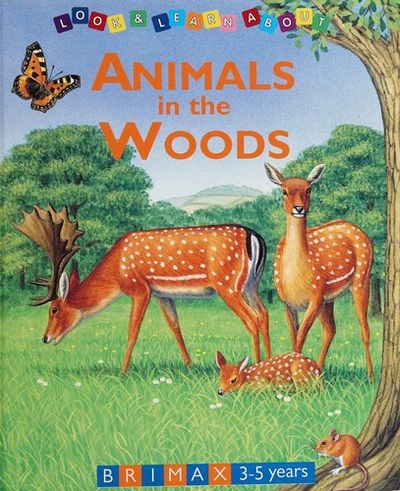 BIBLIO | My Big Little Fat Book: I See Red Green Blue by Lorna Read ...