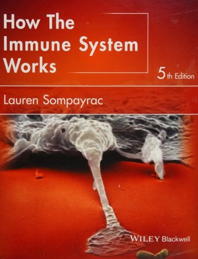 How the Immune System Works by Sompayrac, Lauren, Ph.D | Paperback ...