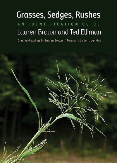 Grasses, Sedges, Rushes: An Identification Guide by Jenkins, Jerry ...