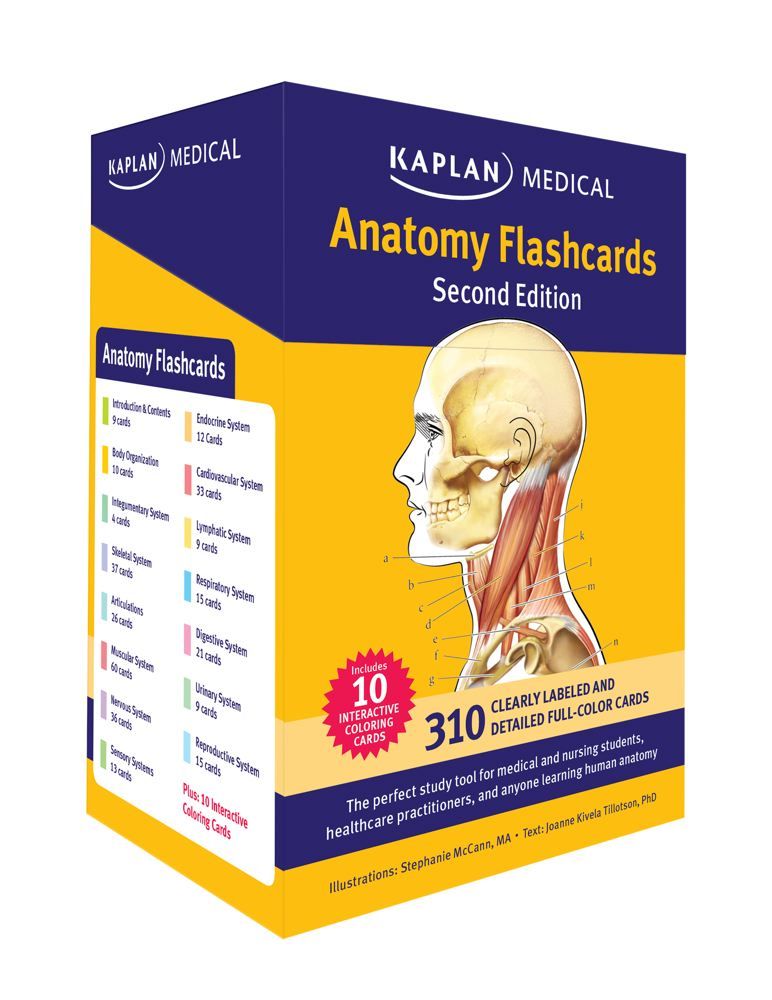 Anatomy Flashcards by Stephanie Joanne/ McCann - 2013 - from ...