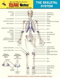 BIBLIO | Skeletal System Anatomy Exam Notes by Research & Education ...