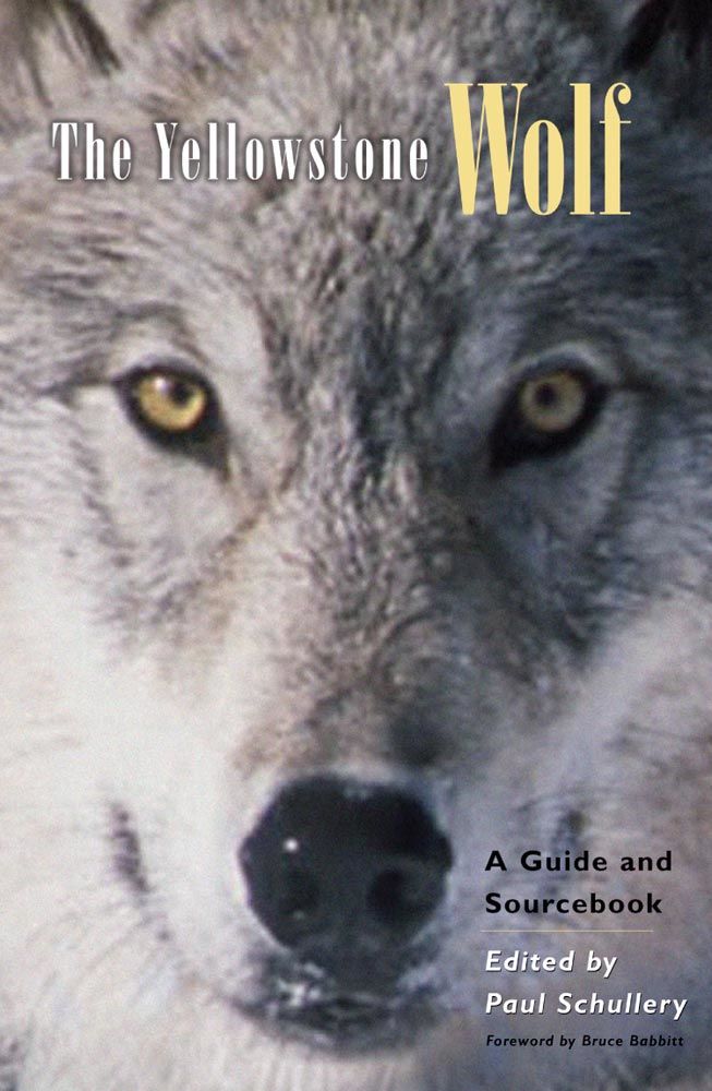 The Yellowstone Wolf: A Guide and Sourcebook by Editor-Paul Schullery ...