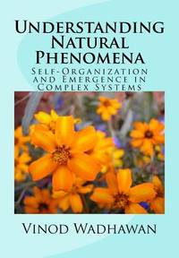 Understanding Natural Phenomena: Self-Organization and Emergence in ...