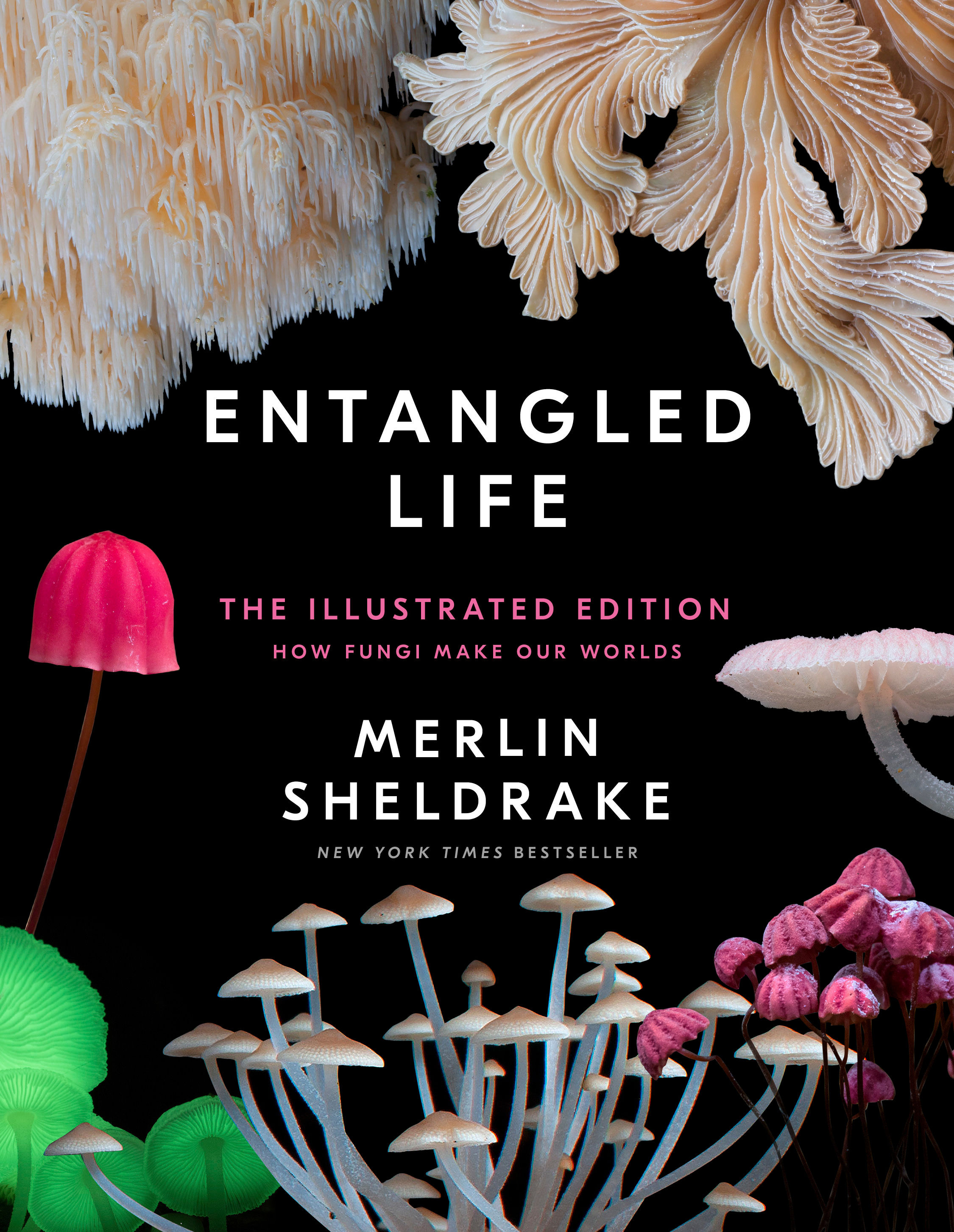 Entangled life: How Fungi Make Our Worlds: The Illustrated Edition by Sheldrake, Merlin ...