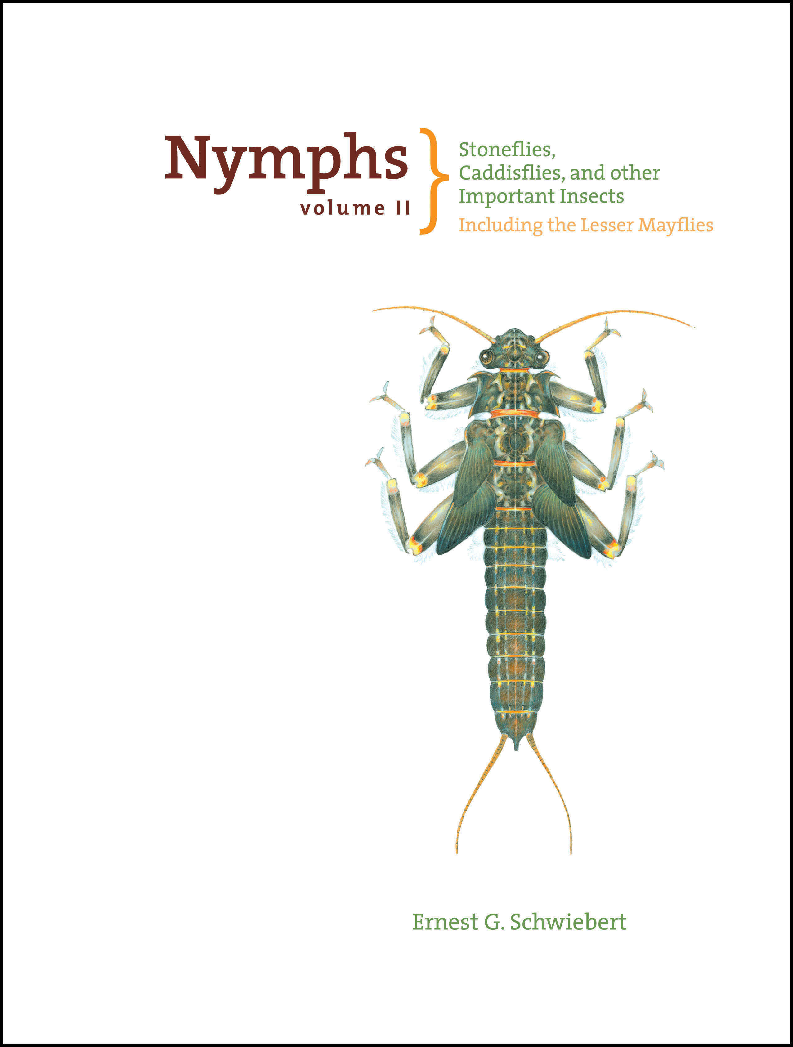 Nymphs, Stoneflies, Caddisflies, and Other Important Insects: Including ...