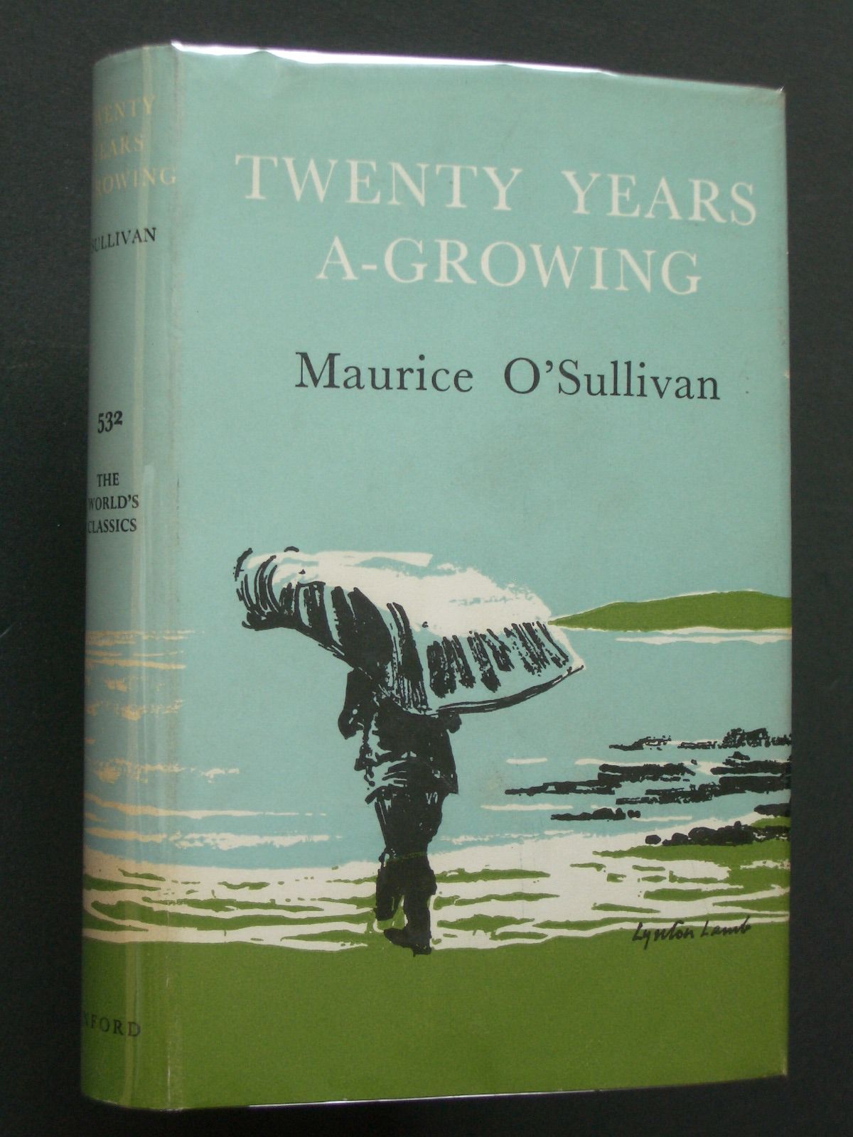 Twenty Years A Growing