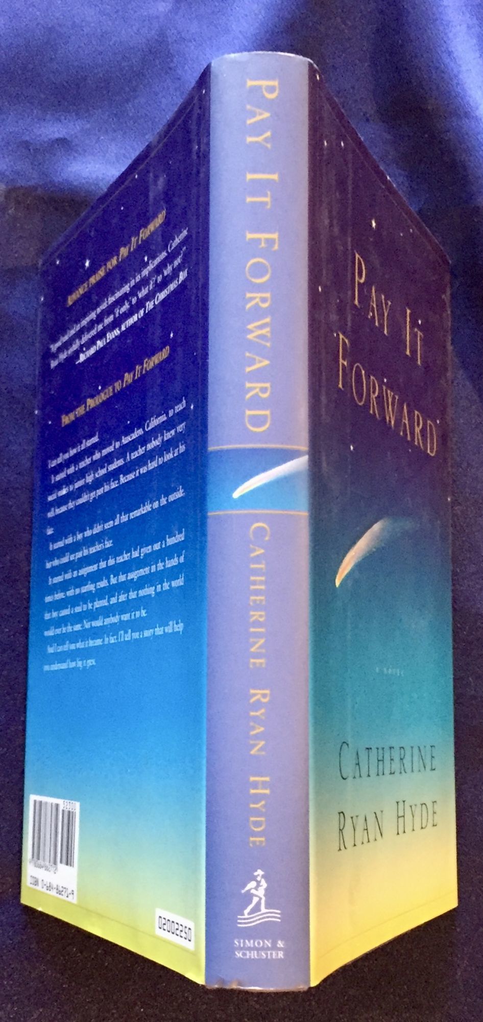 Pay It Forward Book