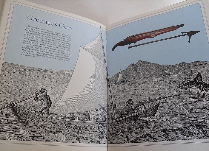 BIBLIO | Whale Song: The Story of Hawaii and the Whales (SIGNED) by ...