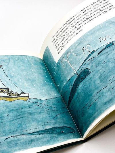 AMOS & BORIS by Steig, William | Search for rare books | ABAA