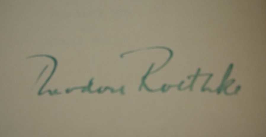 Theodore Roethke The Lost Son