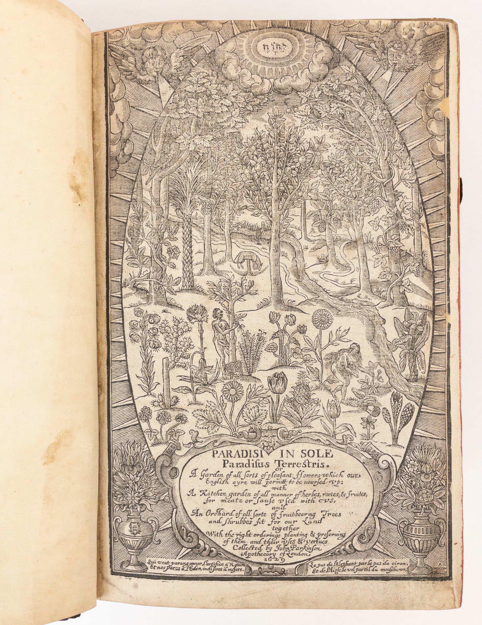 PARADISI IN SOLE PARADISUS TERRESTRIS. OR A GARDEN OF ALL SORTS OF ...