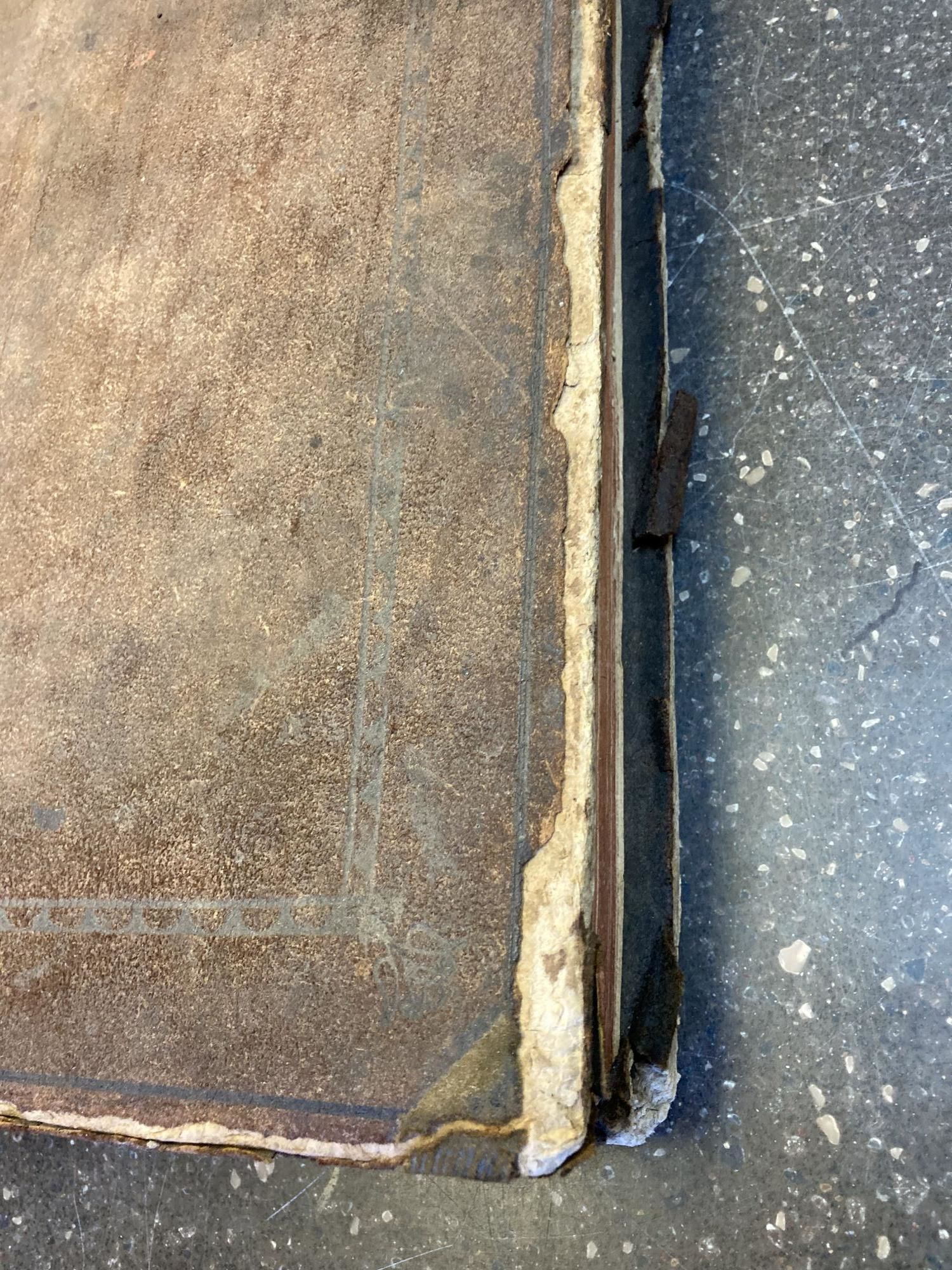 PARADISI IN SOLE PARADISUS TERRESTRIS. OR A GARDEN OF ALL SORTS OF ...