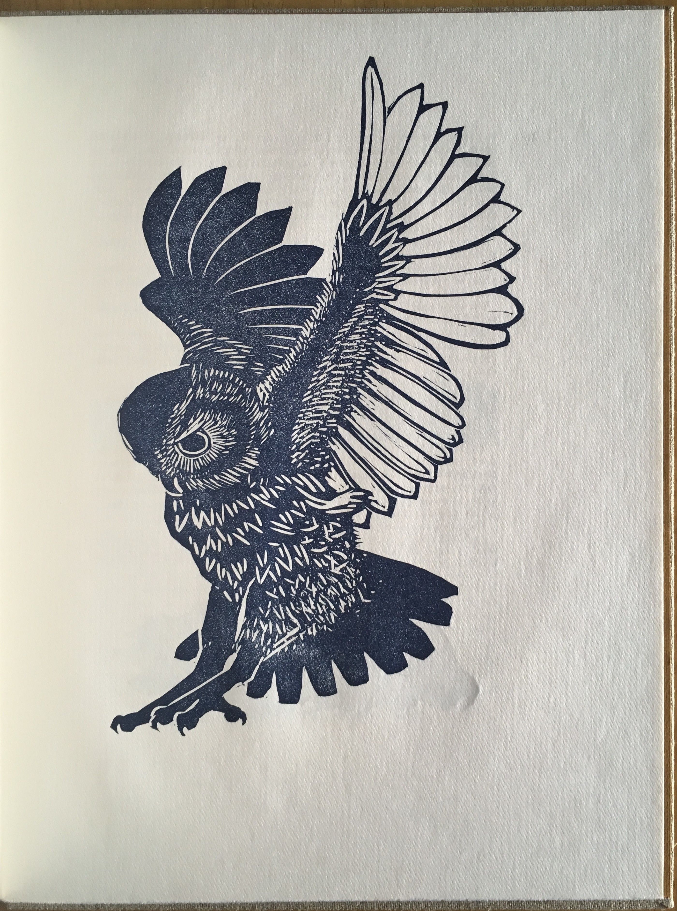 What the Owl Said by Cortese, James - 1979
