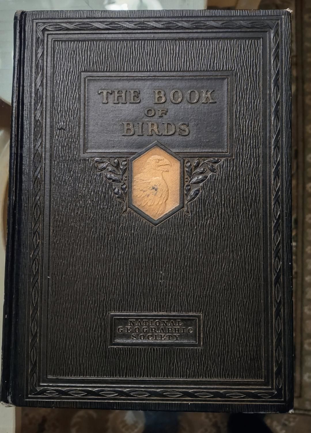 The Book of Birds by Dr. Gilbert Grosvnor (Forward) - Hardcover ...