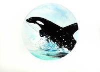 Cetacea, The Great Whale by [Cheloniidae Press] Robinson, Alan James ...