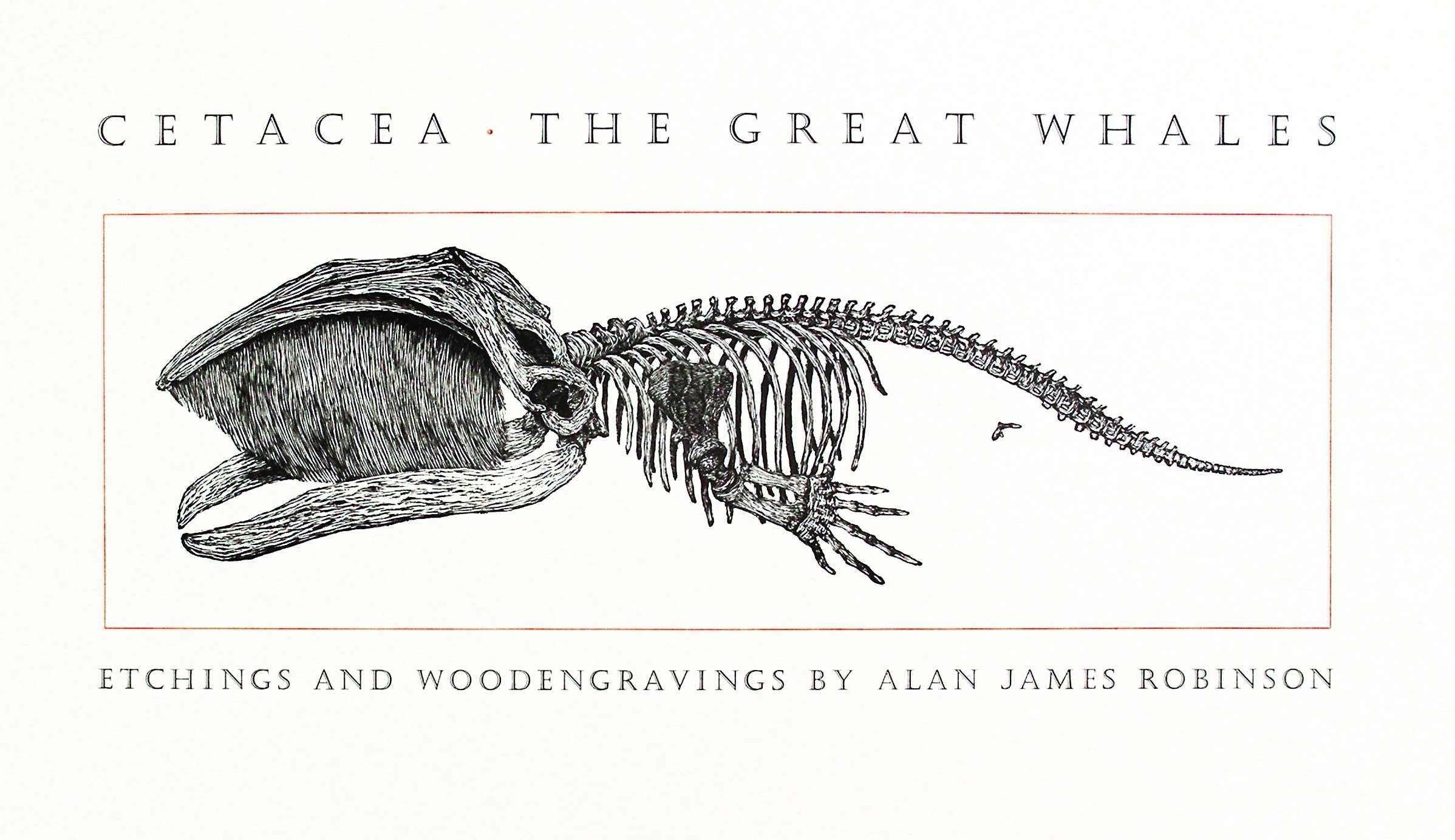 BIBLIO | Cetacea, The Great Whale by [Cheloniidae Press] Robinson, Alan ...