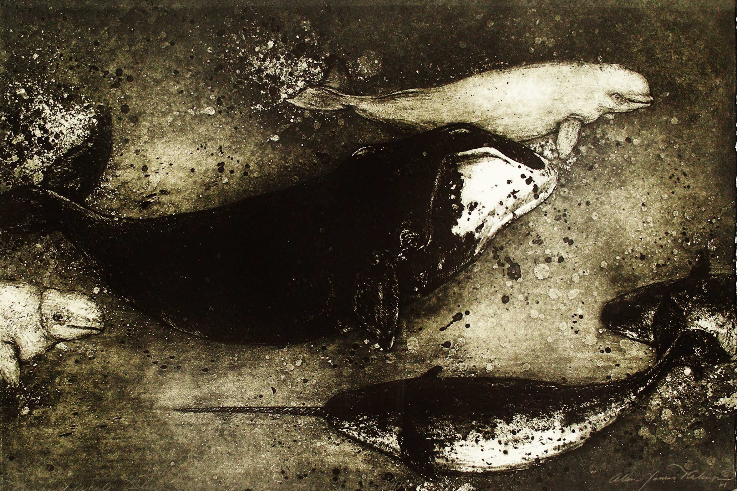 Cetacea, The Great Whale by [Cheloniidae Press] Robinson, Alan James ...