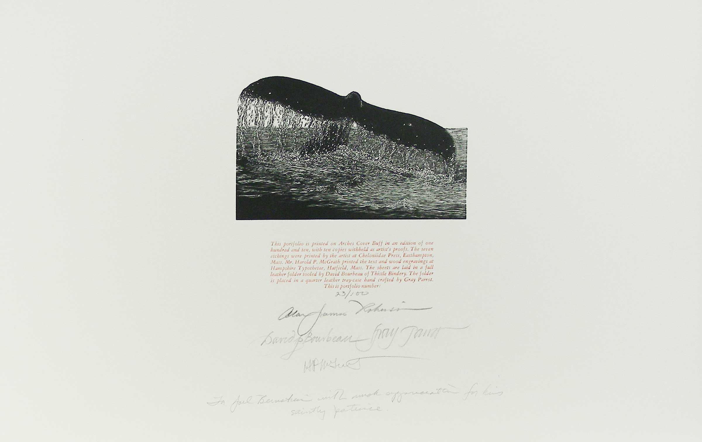 Cetacea, The Great Whale by [Cheloniidae Press] Robinson, Alan James ...