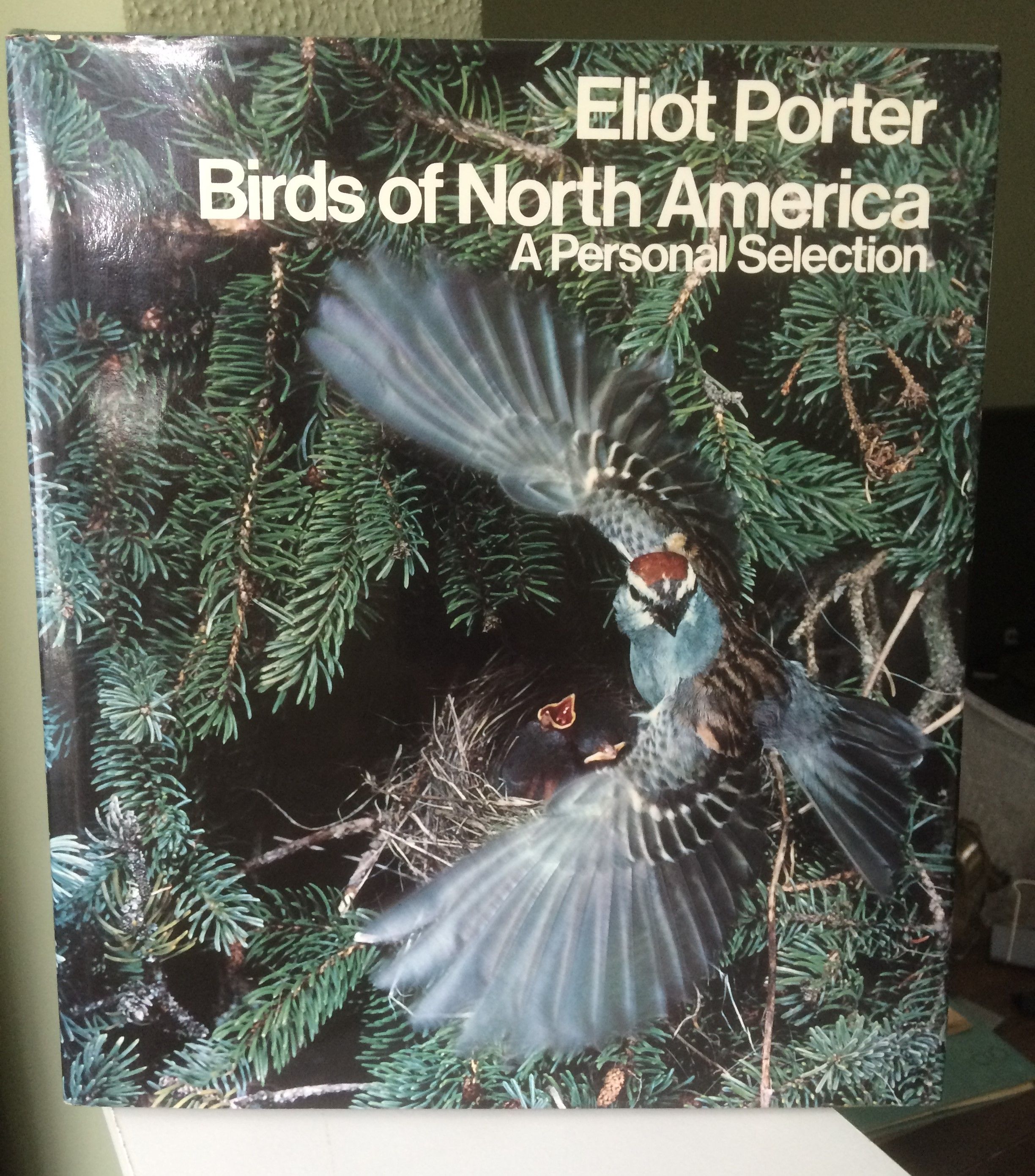 Eliot Porter Birds