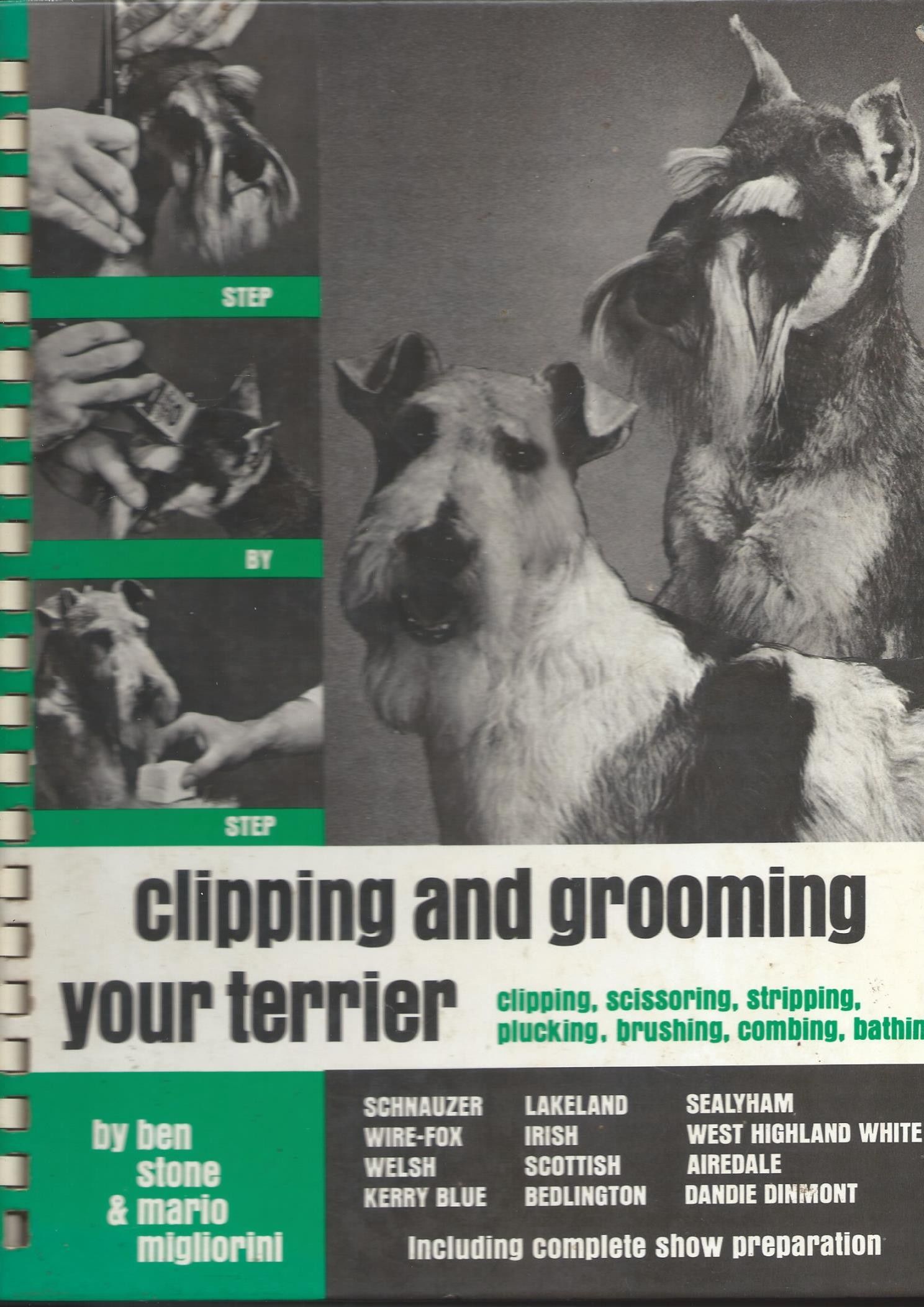 Kerry Blue Grooming | ppgbbe.intranet.biologia.ufrj.br