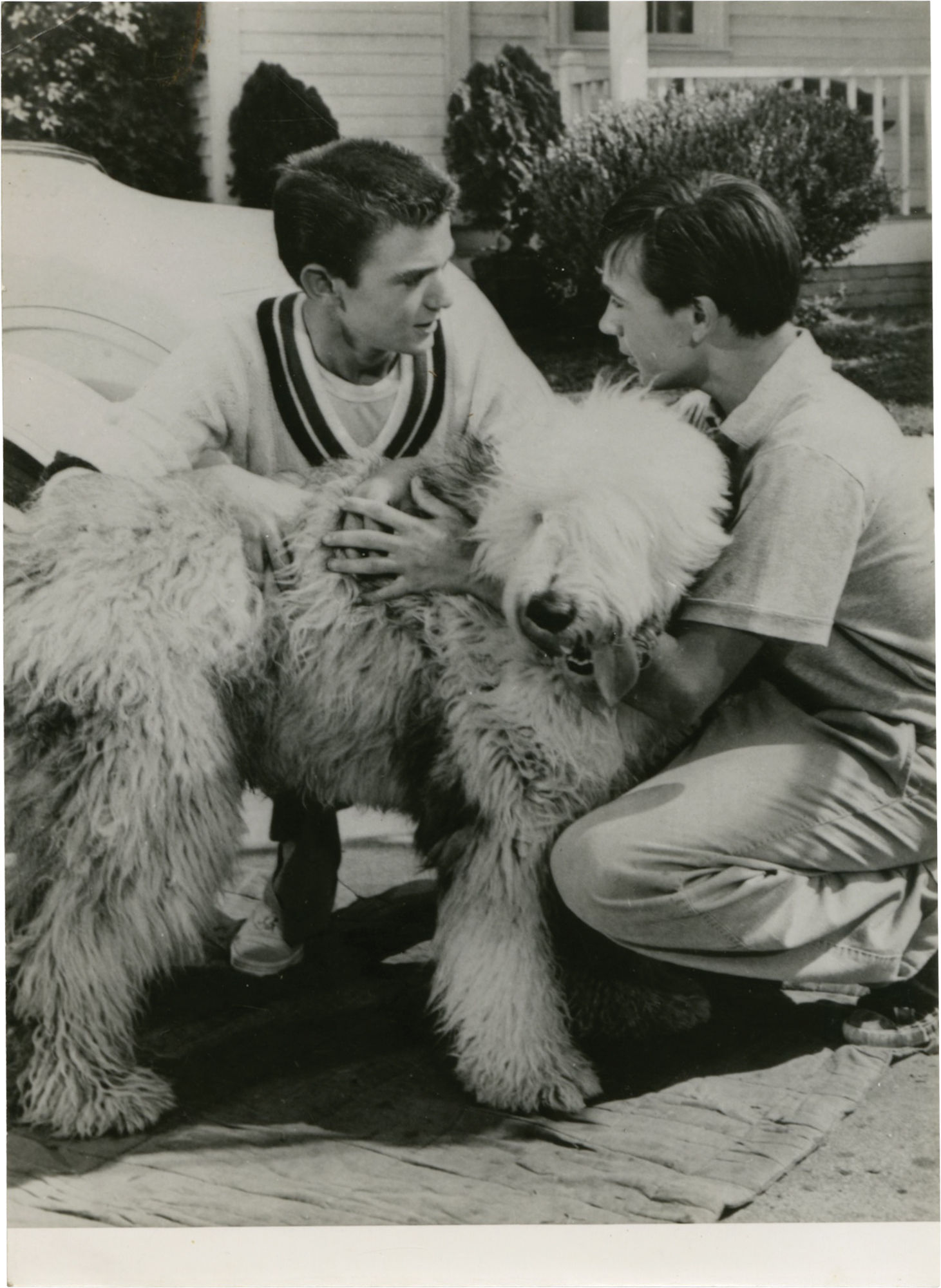 Shaggy Dog Movie