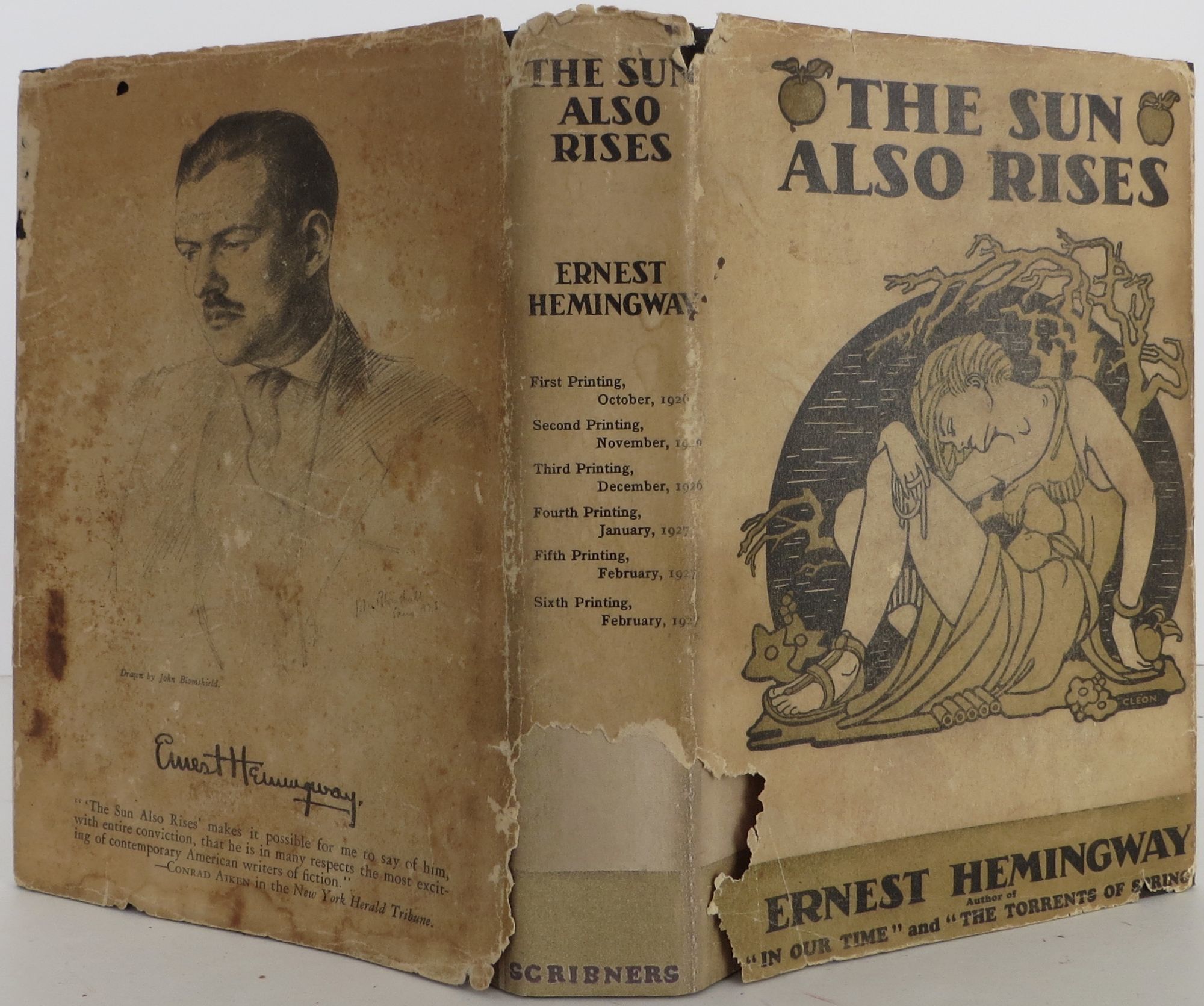 The Sun Also Rises Original Cover