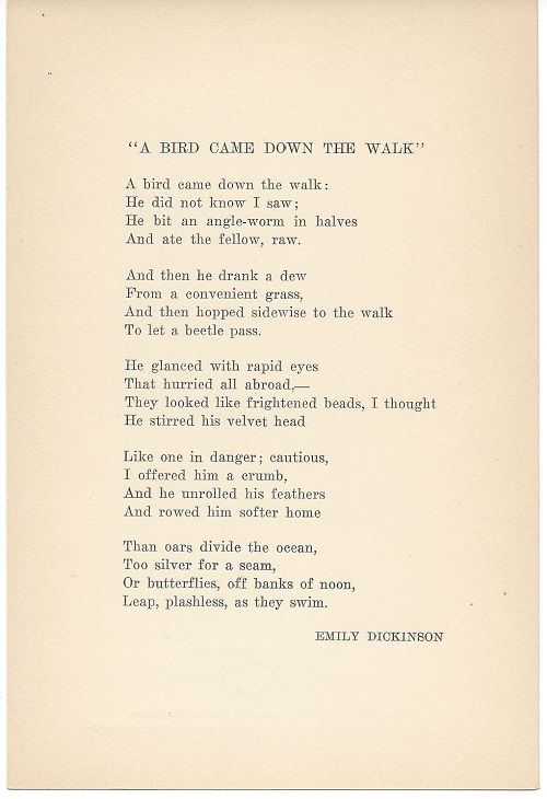 A BIRD CAME DOWN THE WALK. (Broadside.) by Dickinson, Emily | | 1925 ...