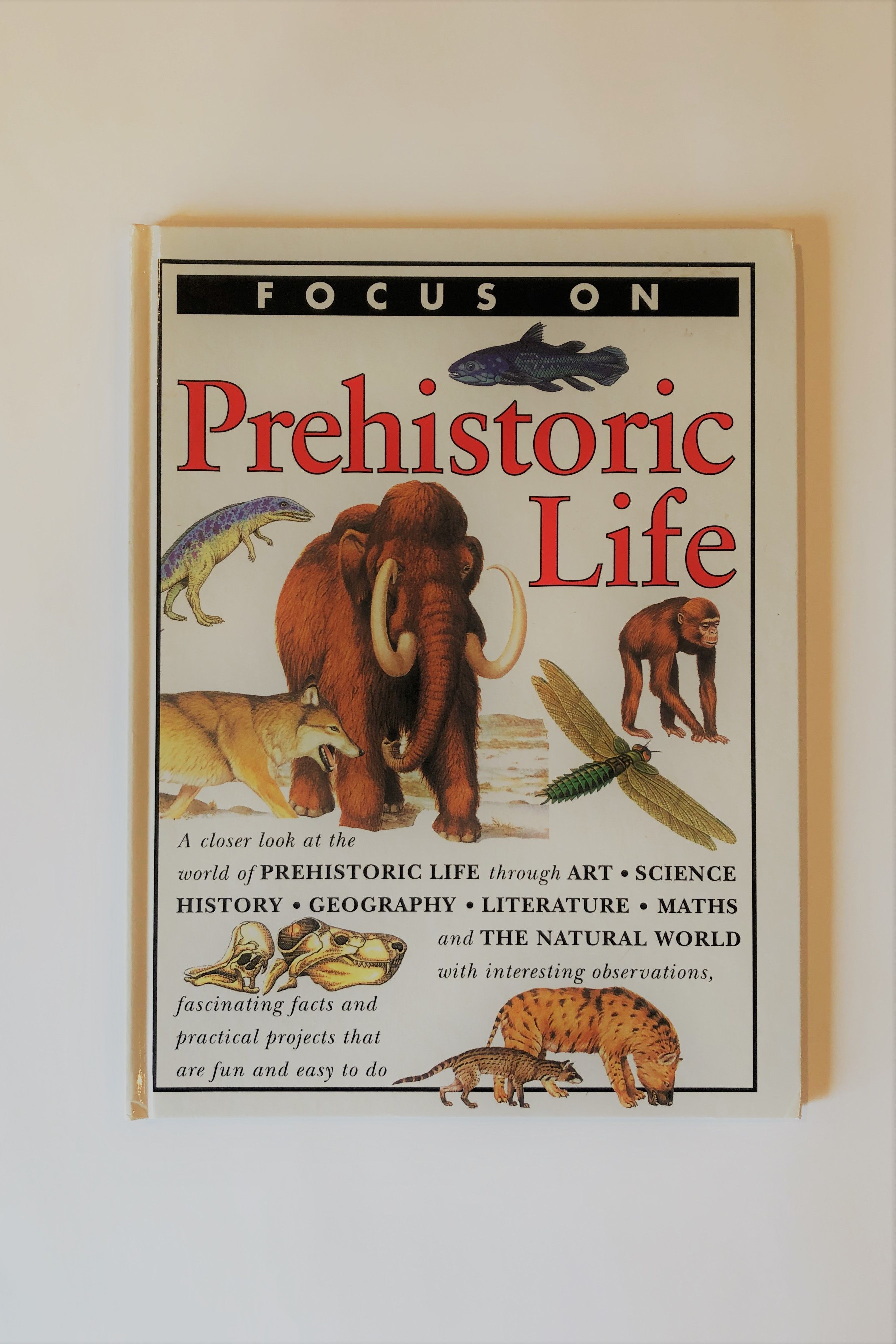 Focus on Prehistoric Life by Benton, M., PH.D. and E. Cook | Binding is ...
