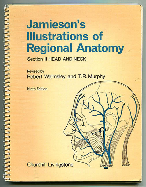 What Is Regional Anatomy CH 1: Human Body Orientation