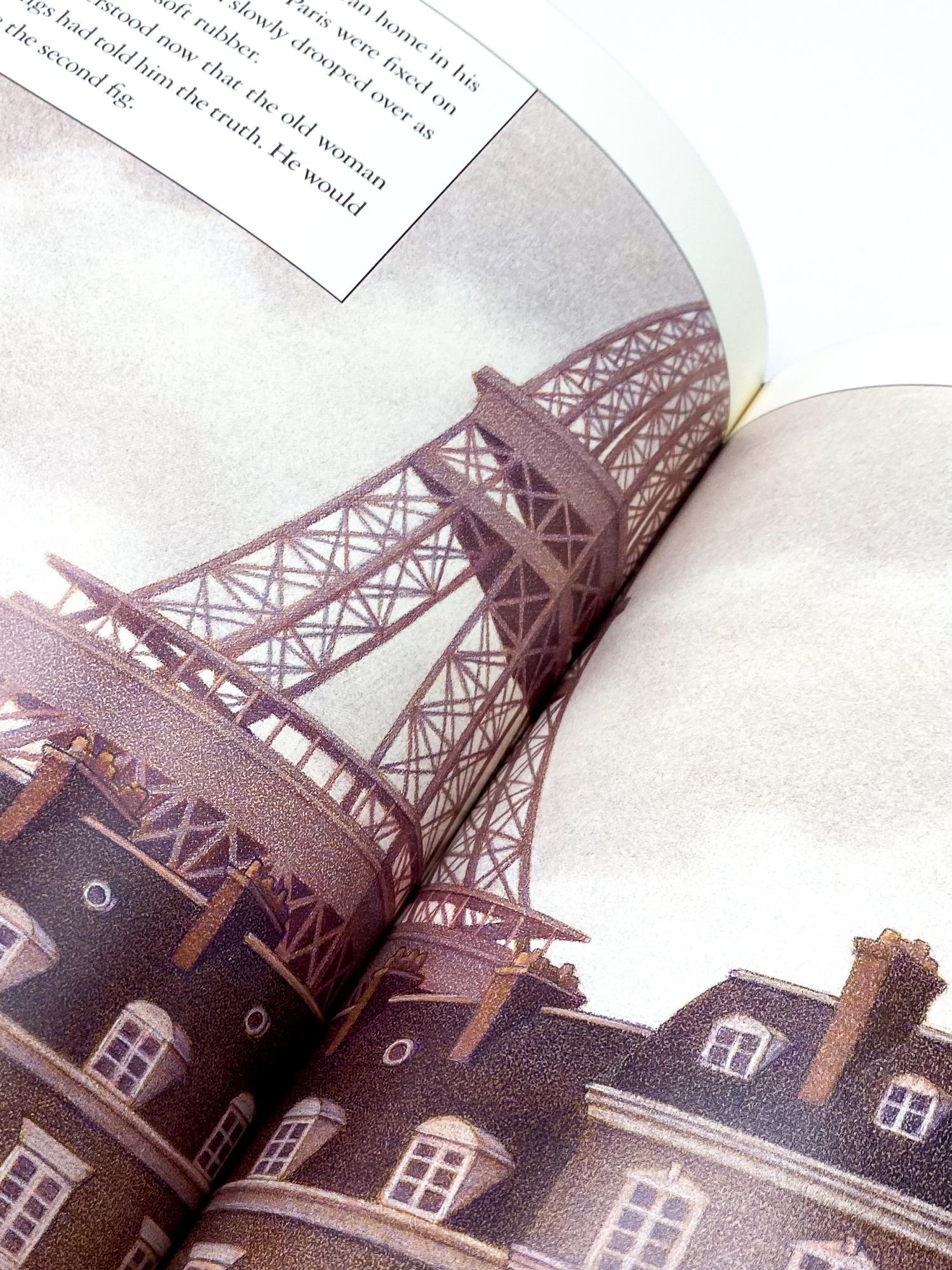 The Sweetest Fig Chris Van Allsburg