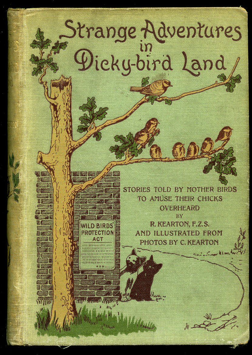 Strange Adventures In Dicky Bird Land Stories Told By Mother Birds To Amuse Their Chicks By
